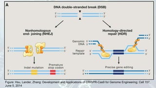 Seminar on crispr | PPTX