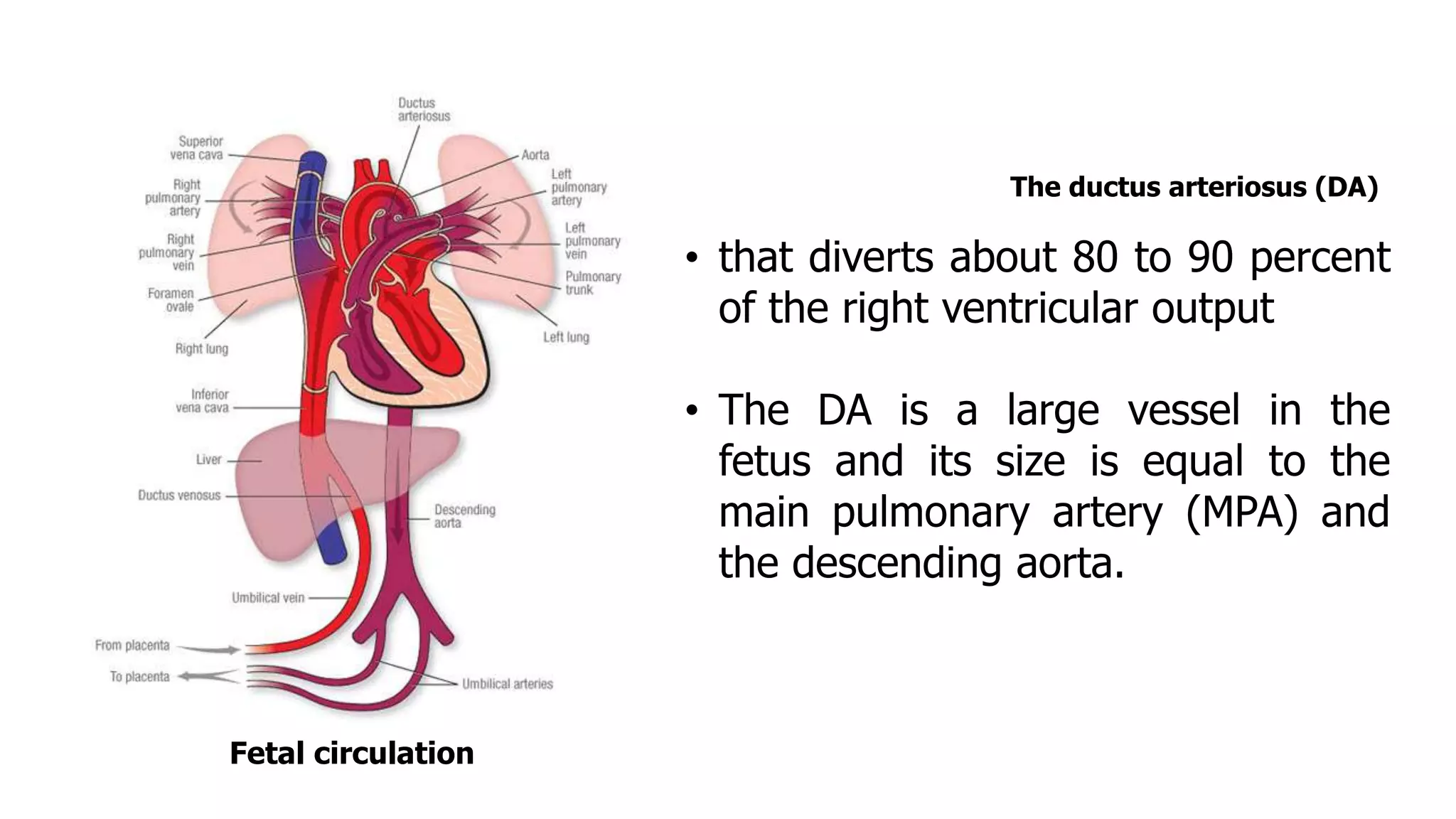 Seminar on critical Congenital heart disease Dr Habibur Rahim | Dr ...