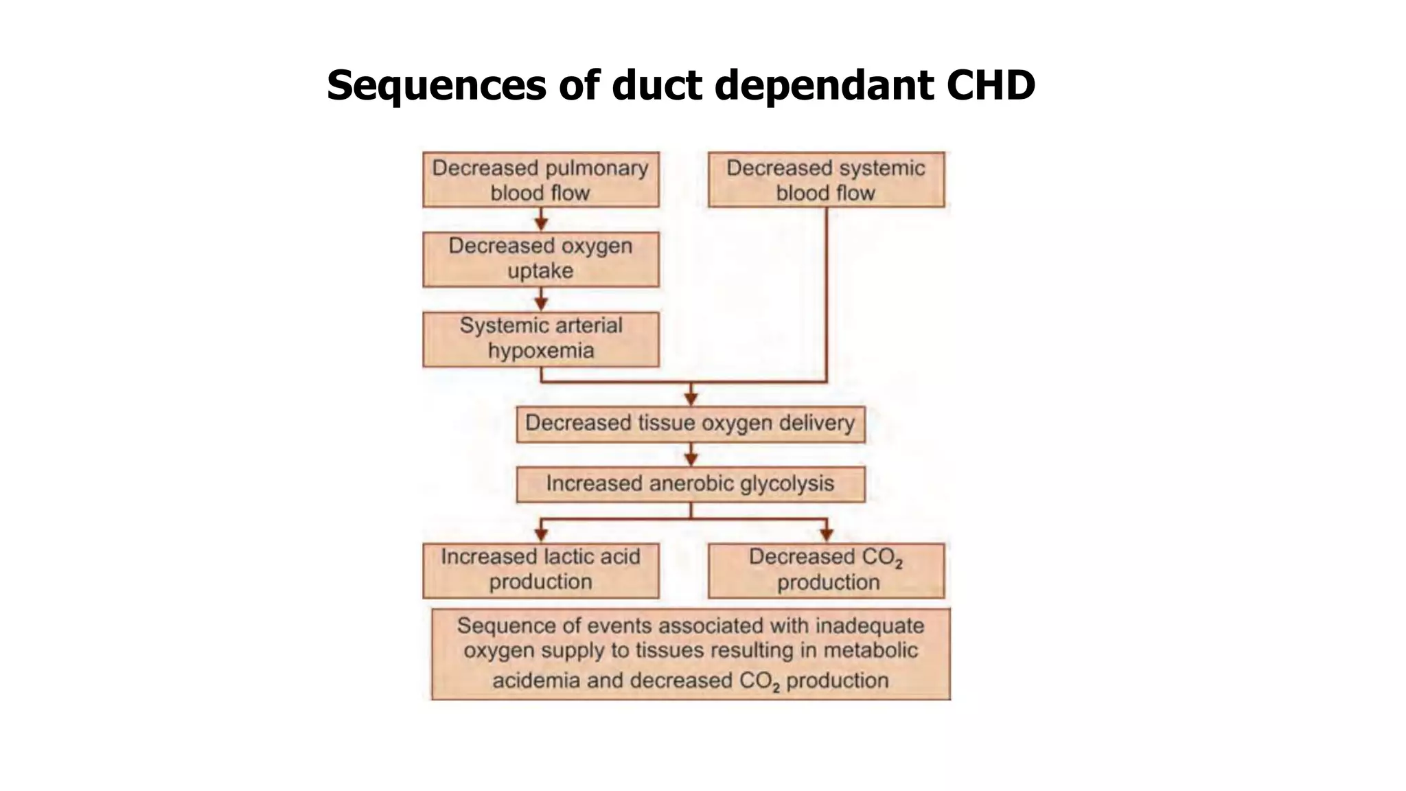 Seminar on critical Congenital heart disease Dr Habibur Rahim | Dr ...