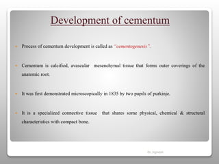 Development of periodontium | PPTX