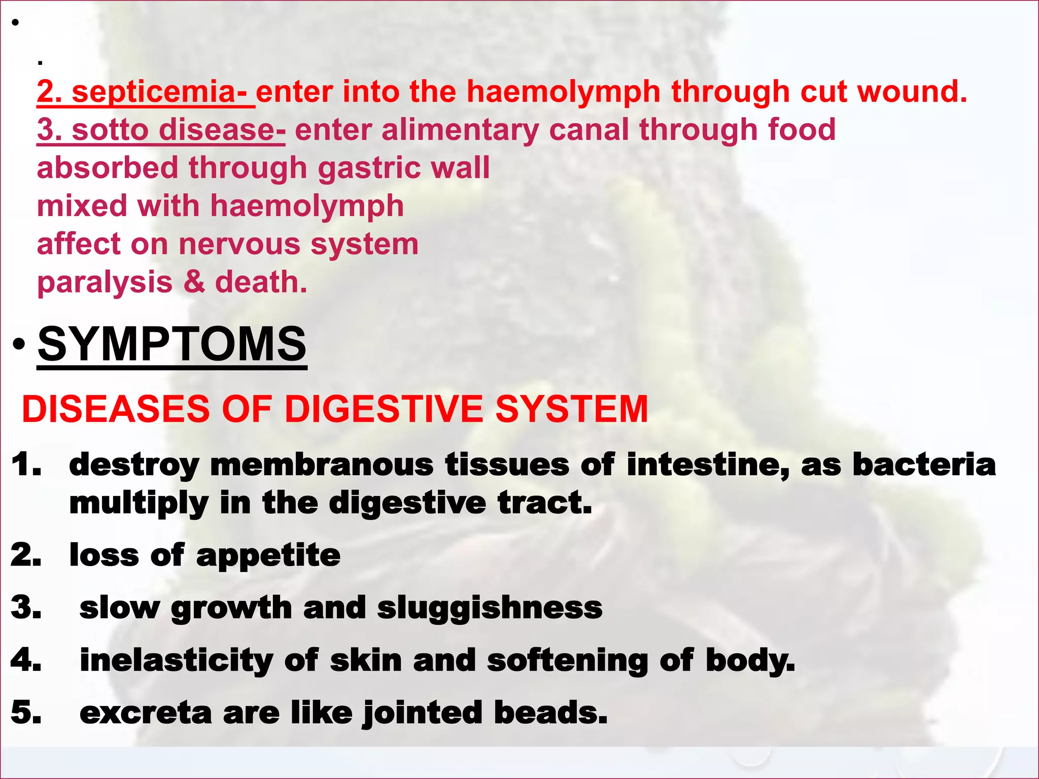 DISEASES AND PEST OF MUGA SILK WORM | PPTX