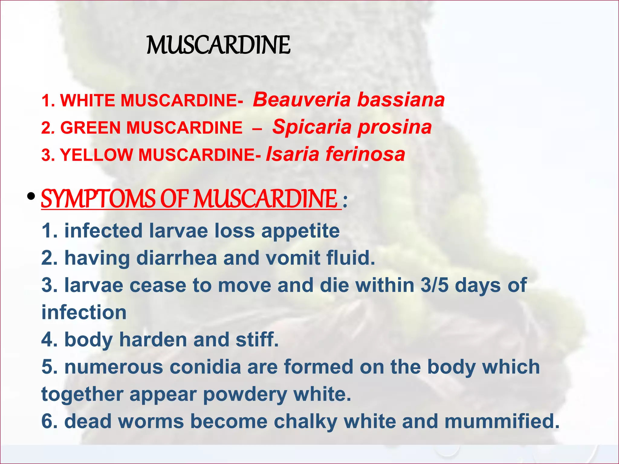 DISEASES AND PEST OF MUGA SILK WORM | PPTX