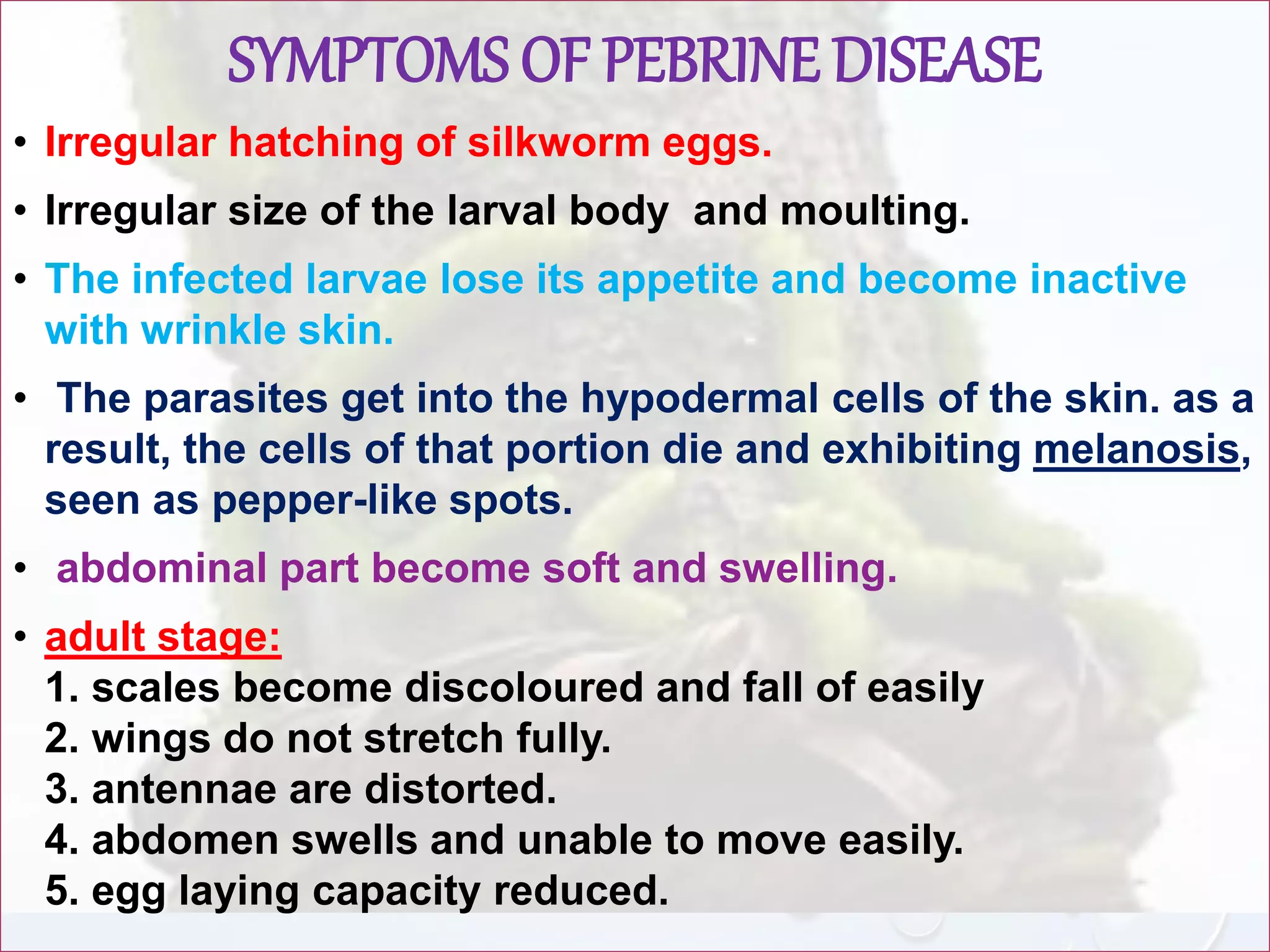DISEASES AND PEST OF MUGA SILK WORM | PPTX