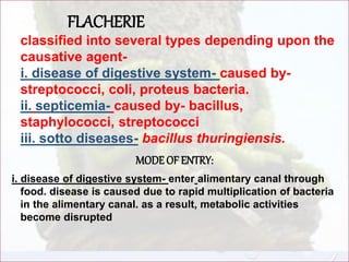 DISEASES AND PEST OF MUGA SILK WORM | PPTX