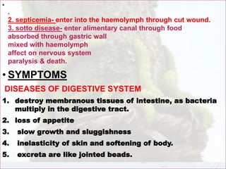 DISEASES AND PEST OF MUGA SILK WORM | PPTX