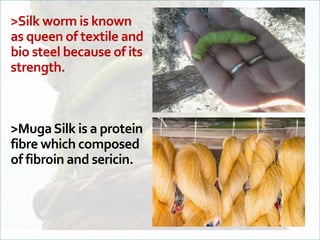 DISEASES AND PEST OF MUGA SILK WORM | PPTX