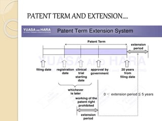 PATENT | PPT