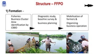 FFPO-fish farmers producer organization | PPTX