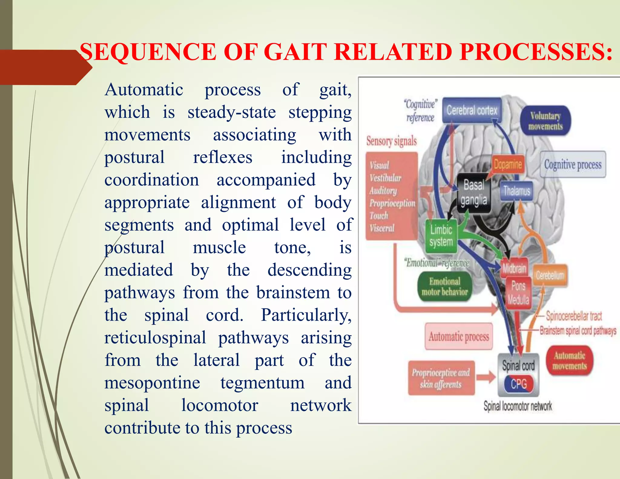 Gait and its analysis | PPTX