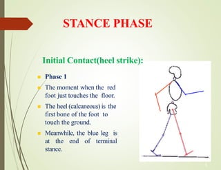 Gait and its analysis | PPTX
