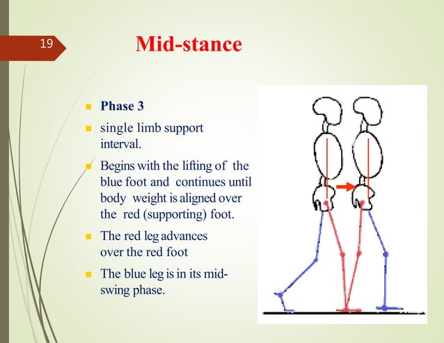 Gait and its analysis | PPT