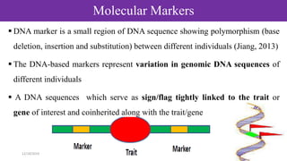 Seminar on genetic marker in relation to plant breeding | PDF