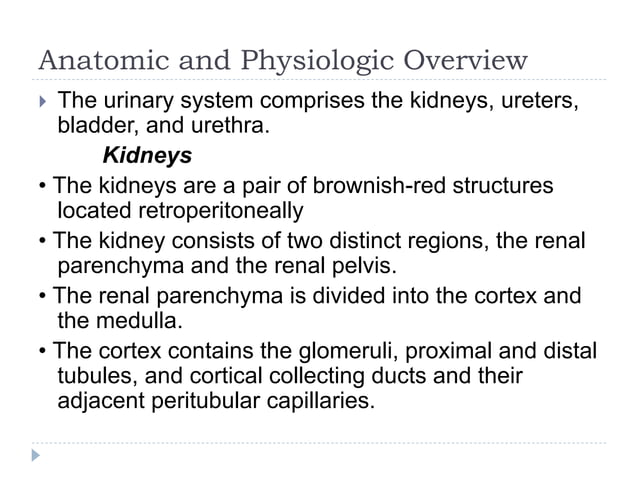 Seminar on genitourinary system | PPT