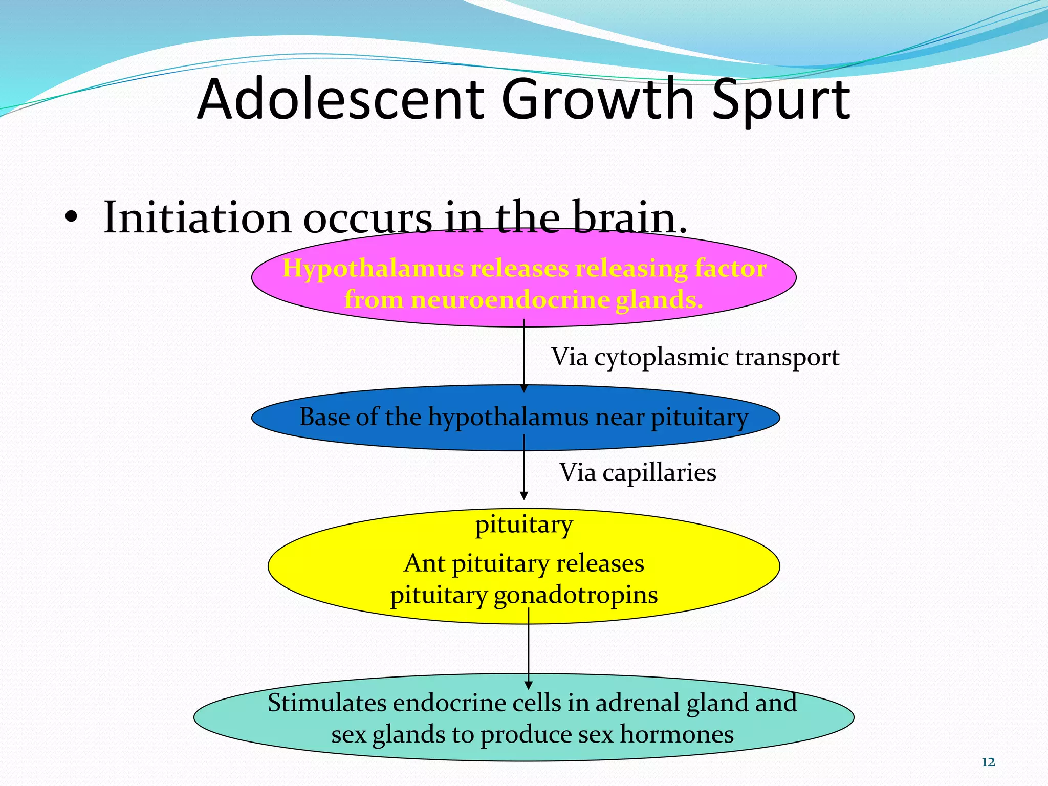 GROWTH ROTATION | PPTX