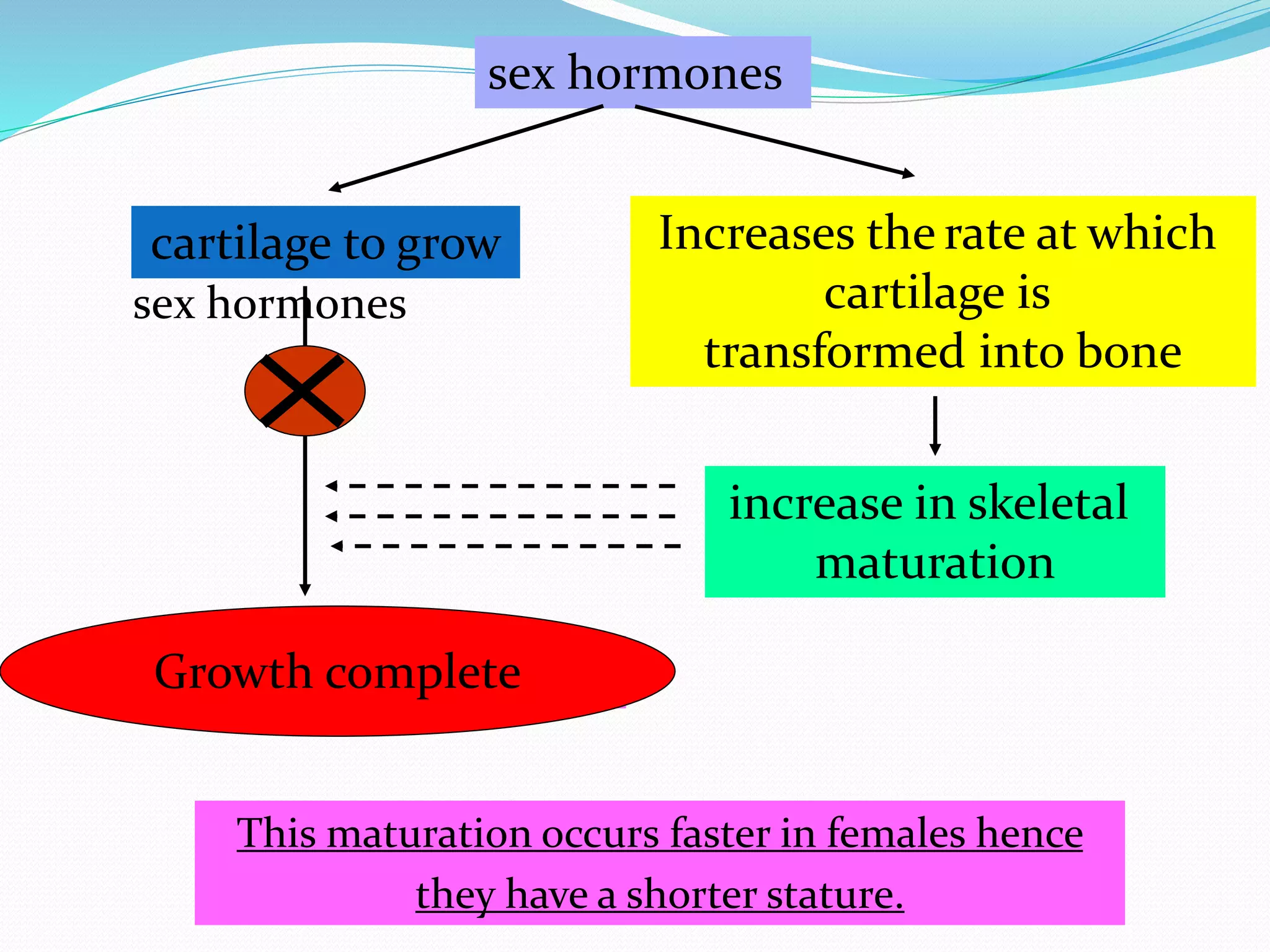 GROWTH ROTATION | PPTX