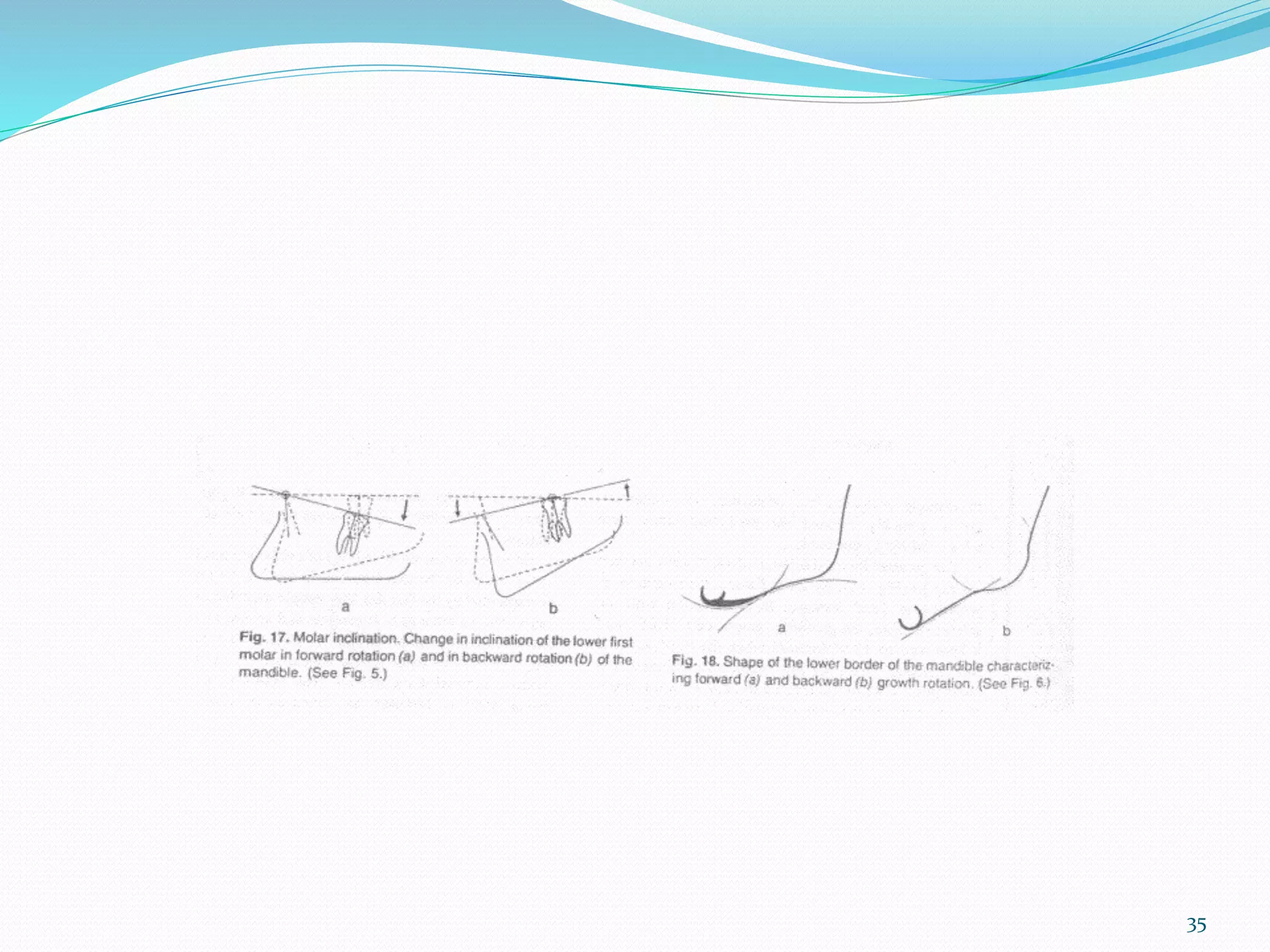 GROWTH ROTATION | PPTX