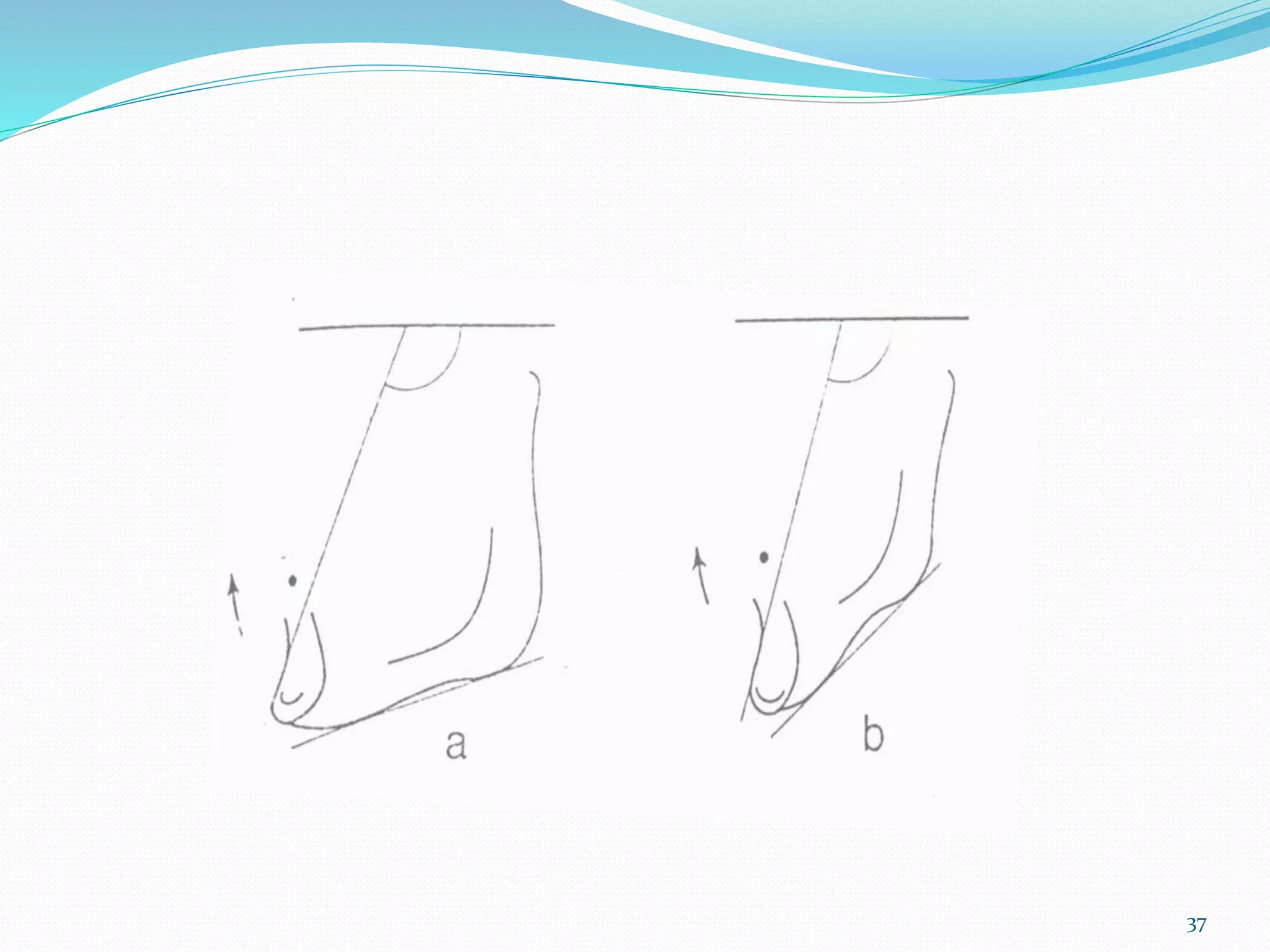 GROWTH ROTATION | PPTX