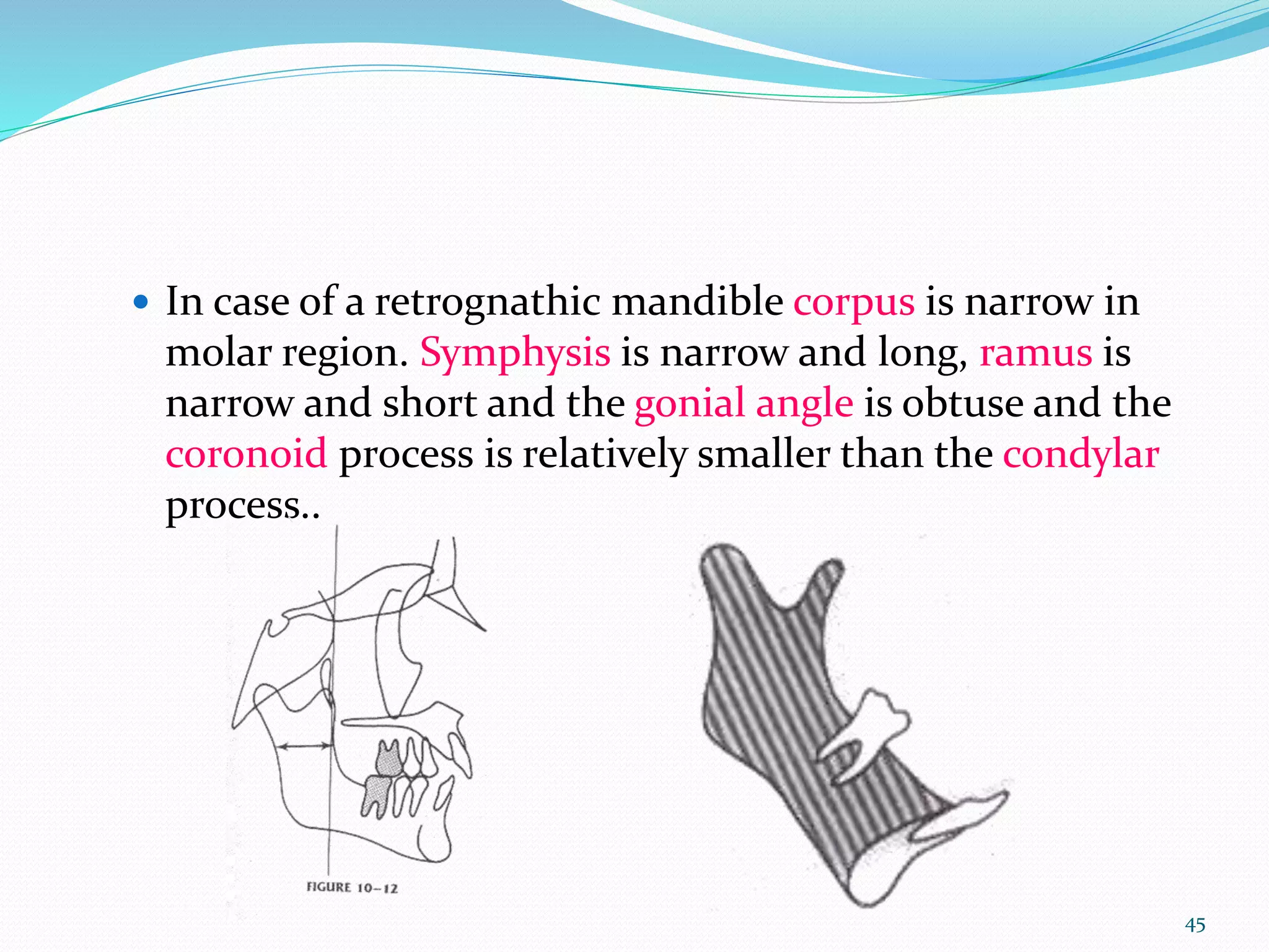 GROWTH ROTATION | PPTX