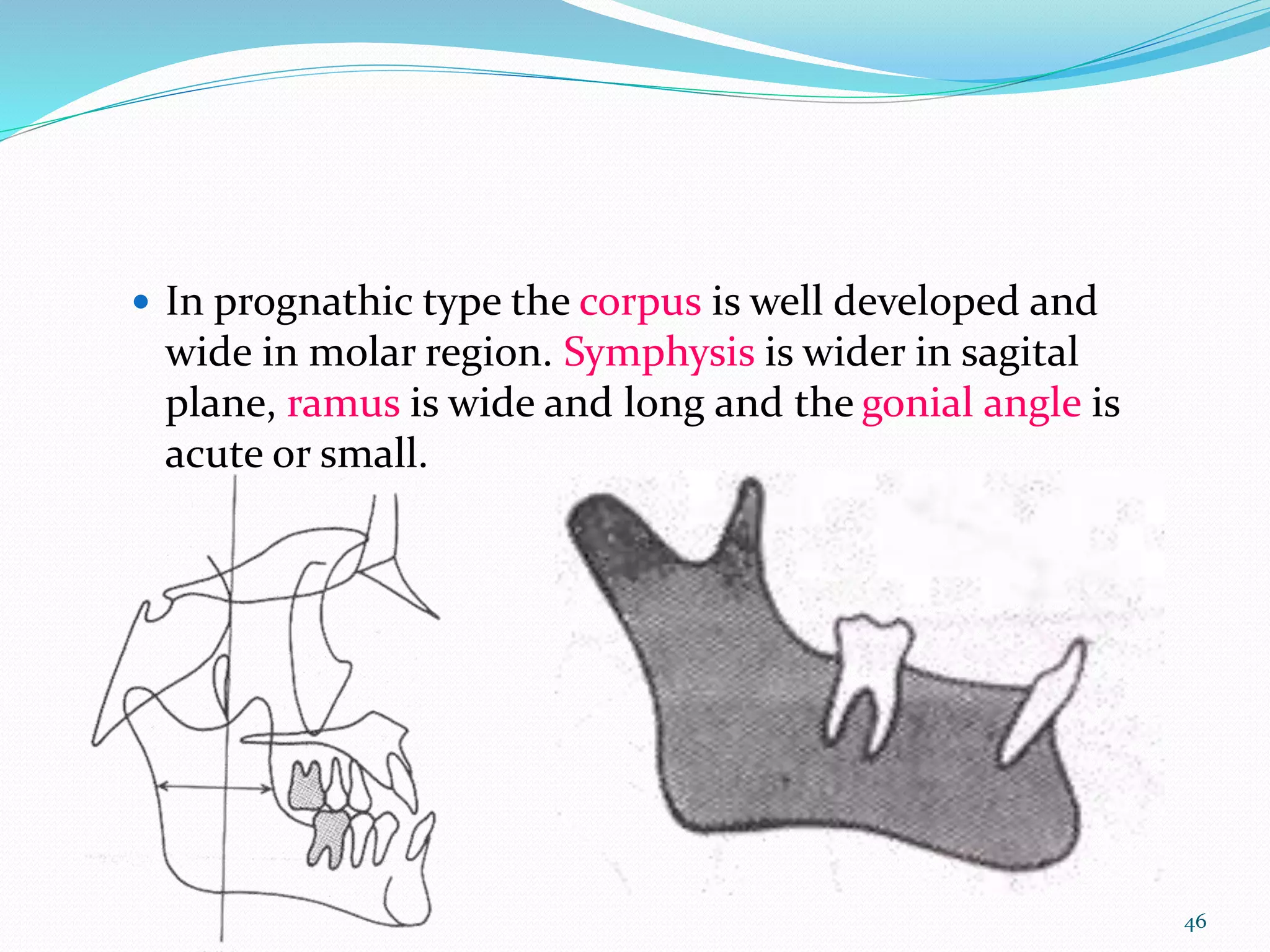 GROWTH ROTATION | PPTX