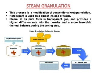 Seminar on granulation by purnima | PPTX