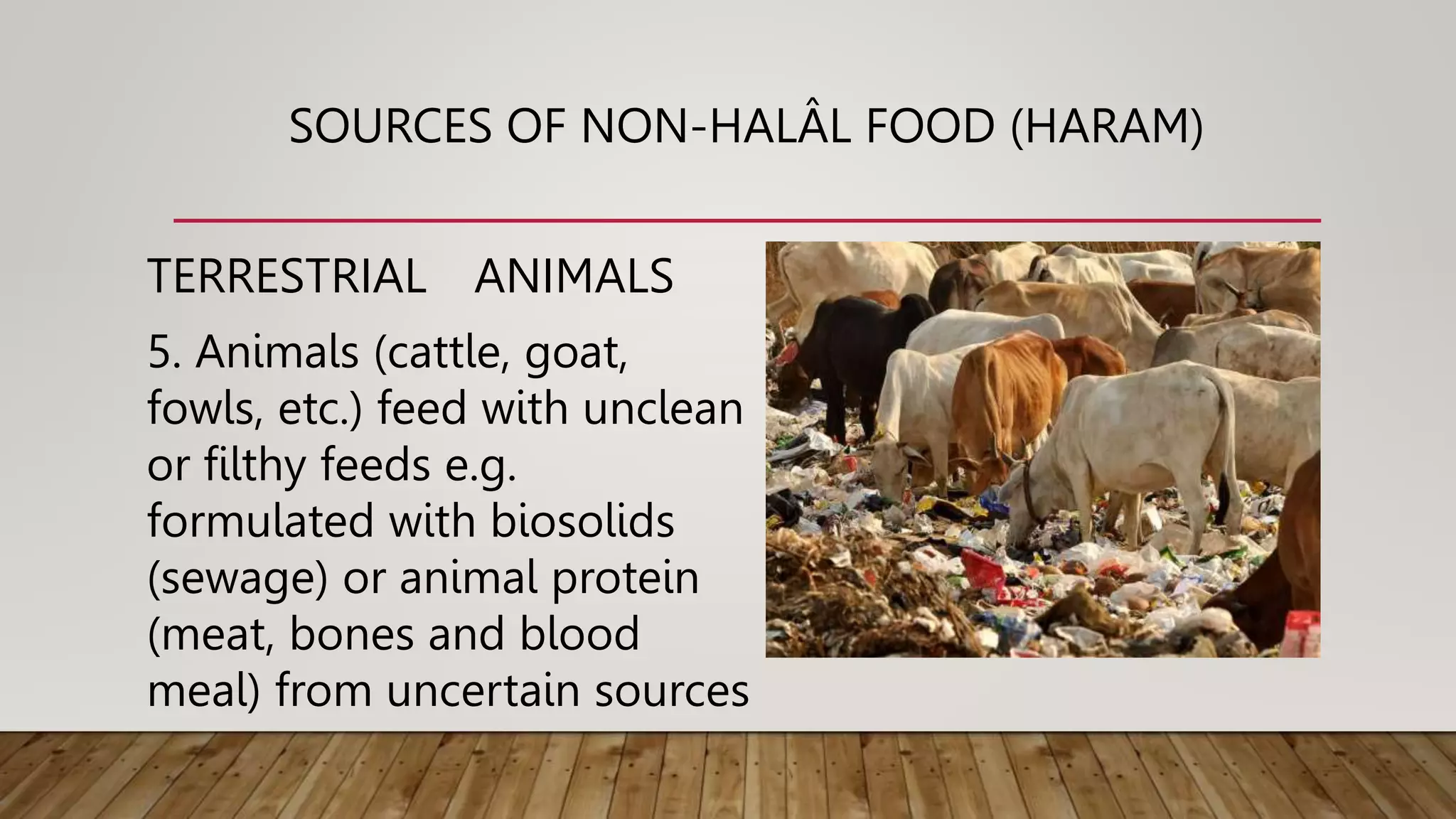 Seminar on Halal Agriculture and Fisheries.pptx