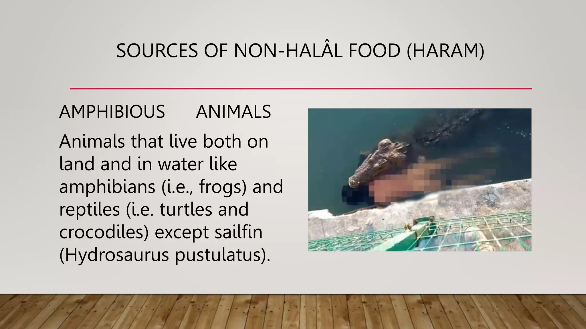 Seminar on Halal Agriculture and Fisheries.pptx