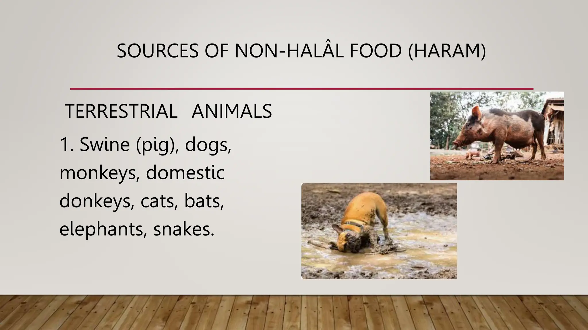 Seminar on Halal AGriculture and Fisheries.pptx