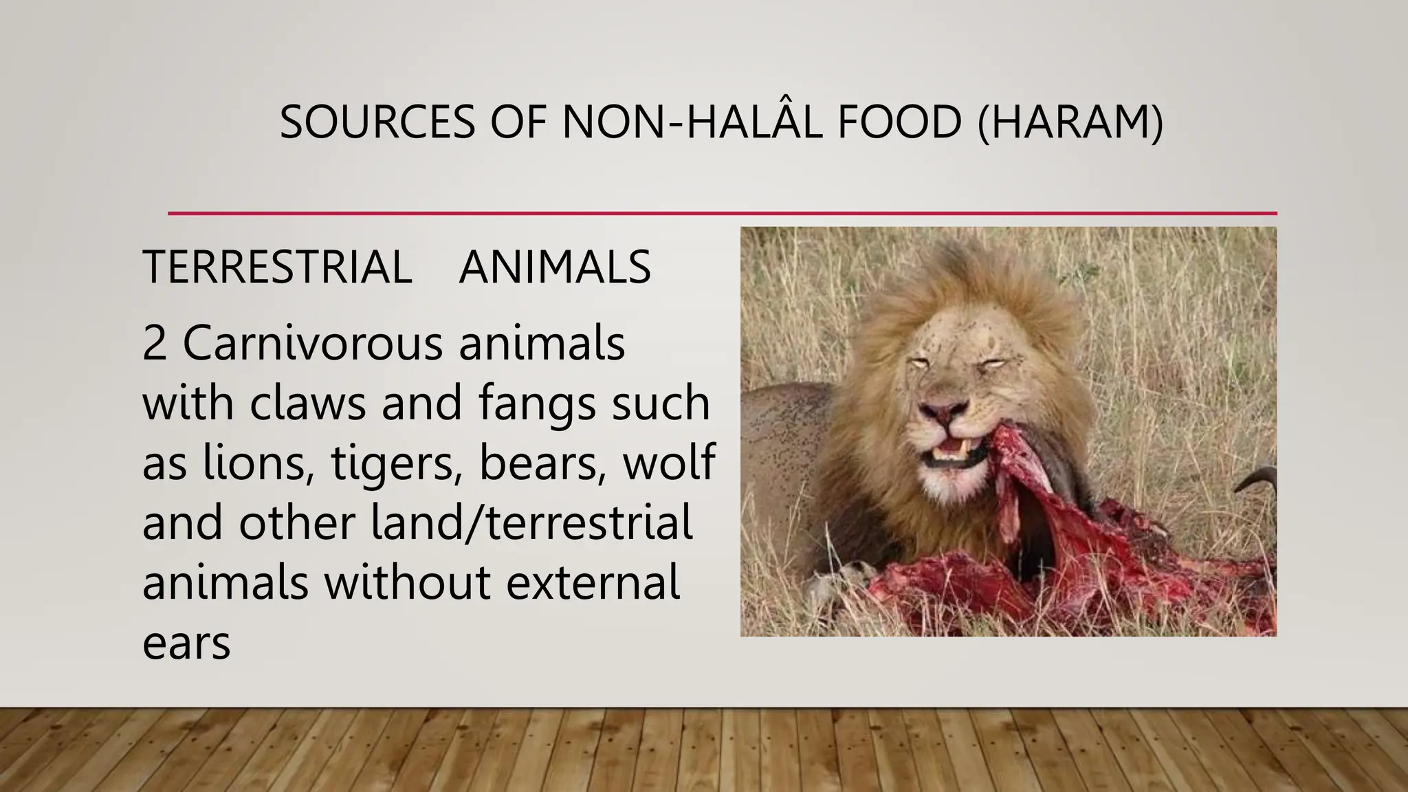 Seminar on Halal AGriculture and Fisheries.pptx