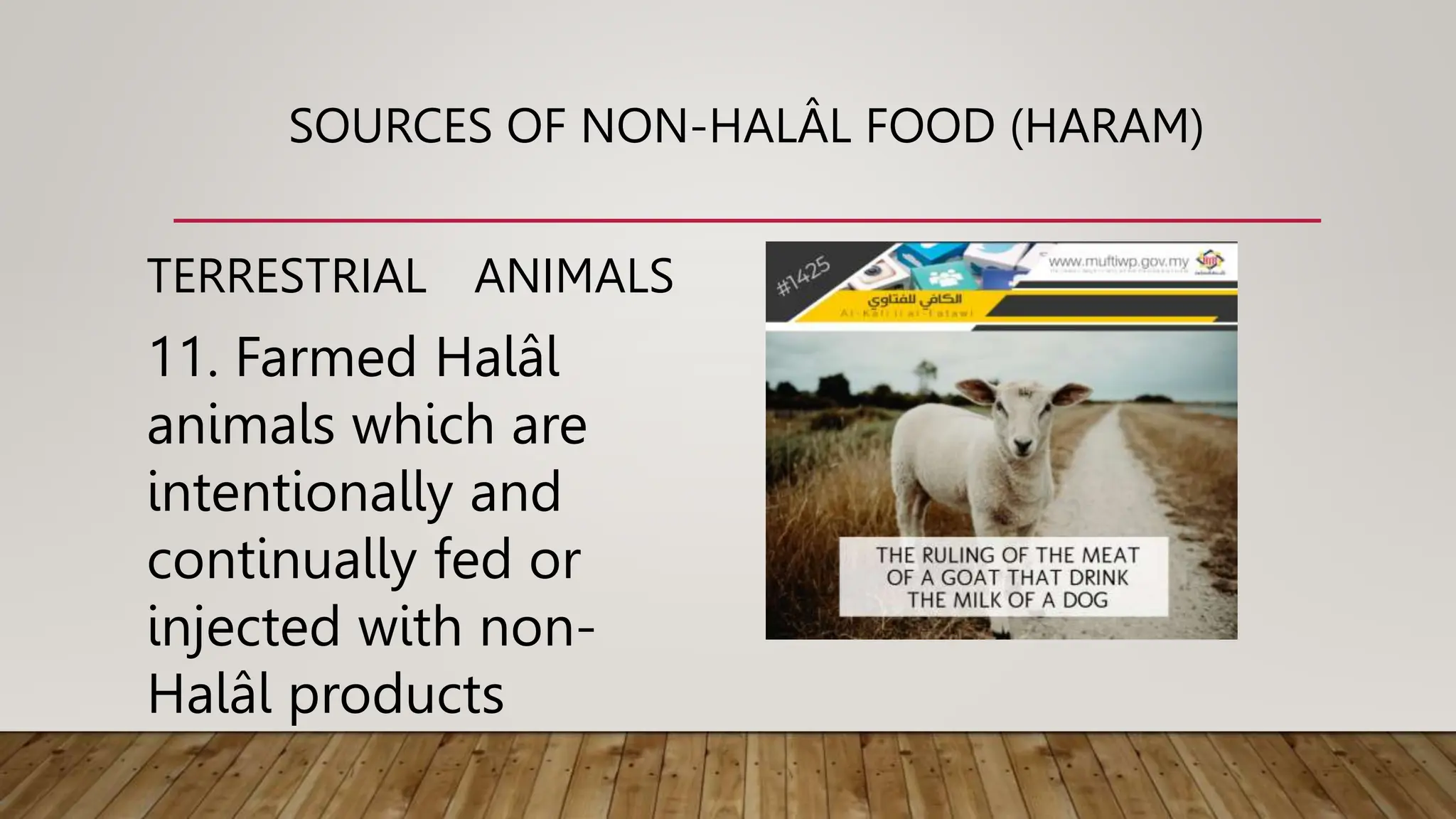 Seminar on Halal AGriculture and Fisheries.pptx