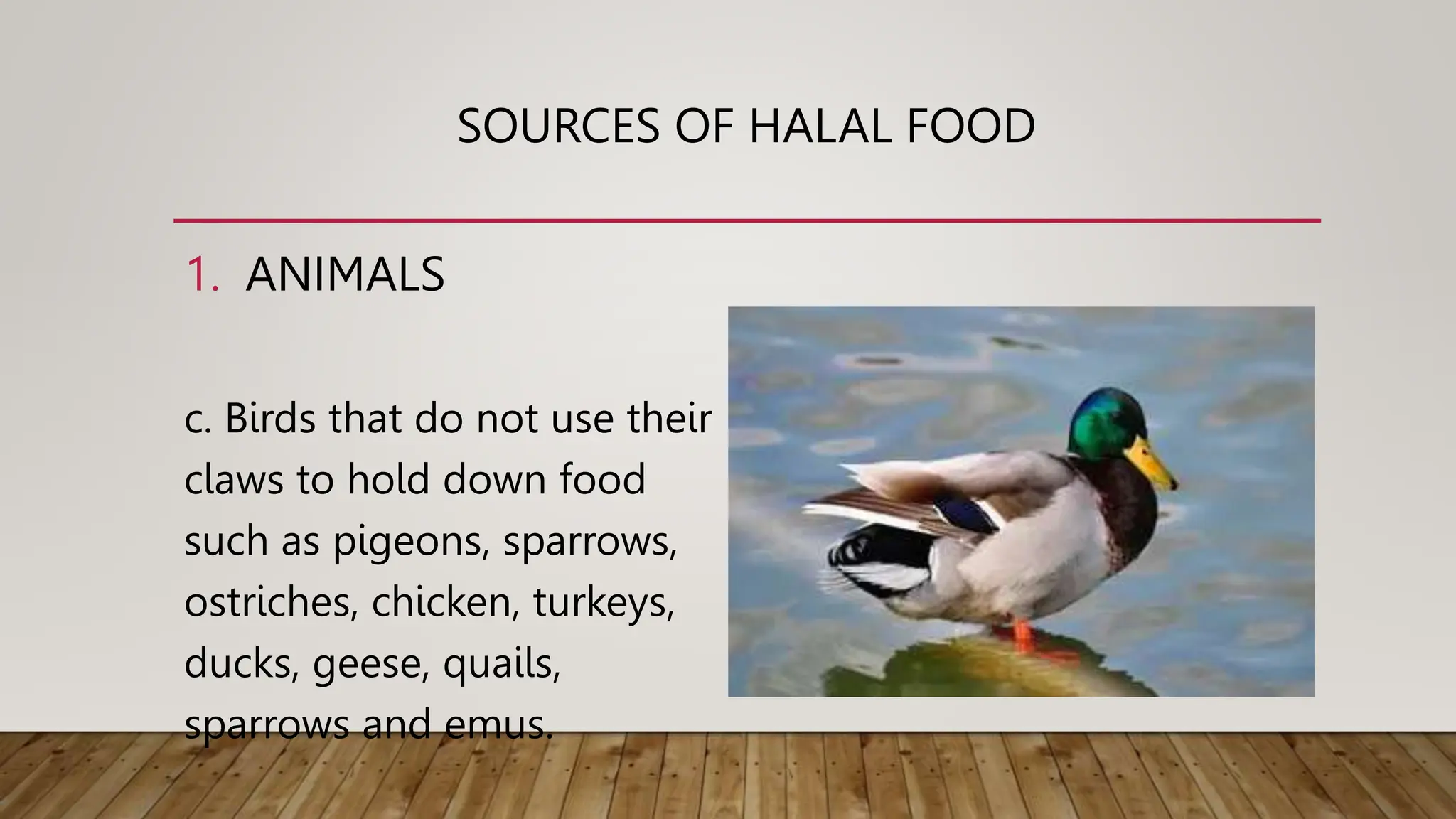 Seminar on Halal AGriculture and Fisheries.pptx