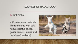 Seminar on Halal AGriculture and Fisheries.pptx