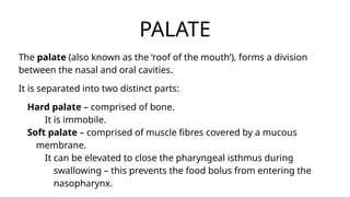 Seminar on Hard&Soft Palate anatomy.pptx