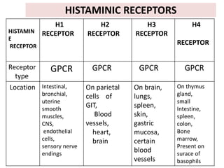H1 Histamine Receptors Function