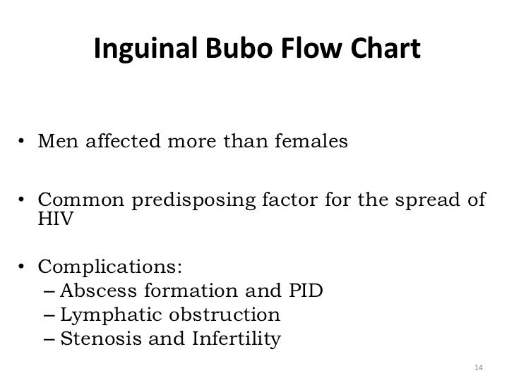 Seminar on inguinal bubo syndrome.yih
