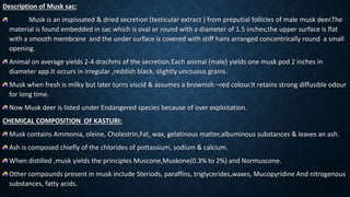 Seminar on kasturi bhairava ras | PPTX