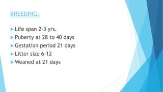 Animals used in Laboratory (Pharmacology) and their specific criteria ...