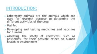 Animals used in Laboratory (Pharmacology) and their specific criteria ...