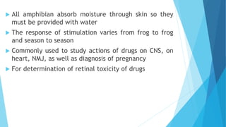 Animals used in Laboratory (Pharmacology) and their specific criteria ...