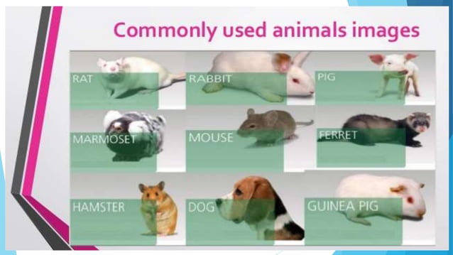 Animals used in Laboratory (Pharmacology) and their specific criteria ...