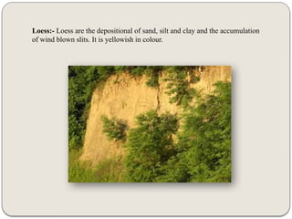 Seminar on Landforms created by wind-1.pptx