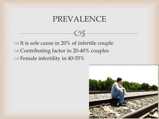 Seminar on male infertility | PPTX