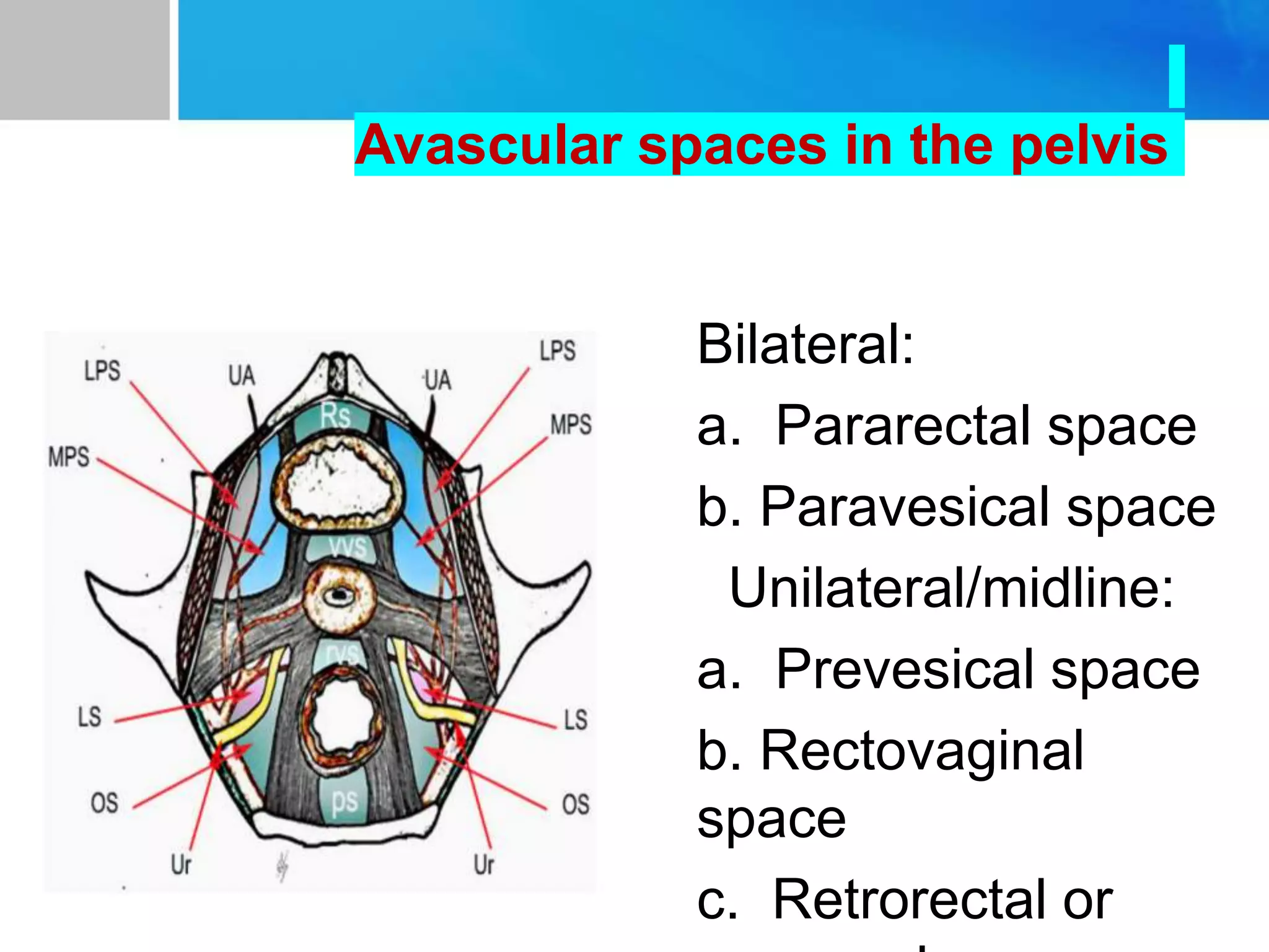 Seminar on Management of pelvic hemorrhage.pptx