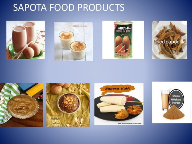 Seminar on mango and sapota | PPT