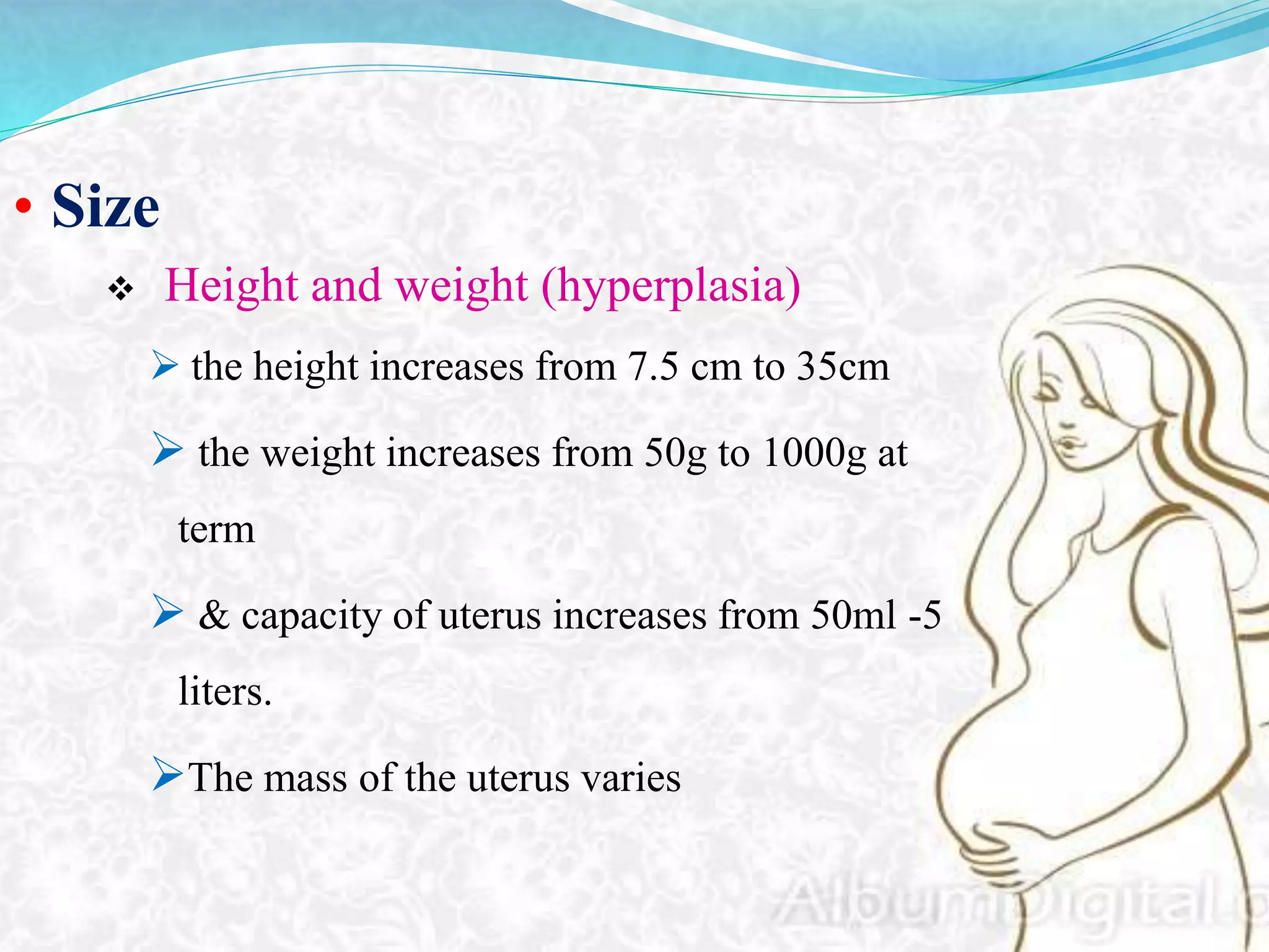 maternal adaptation during pregnancy | PPTX