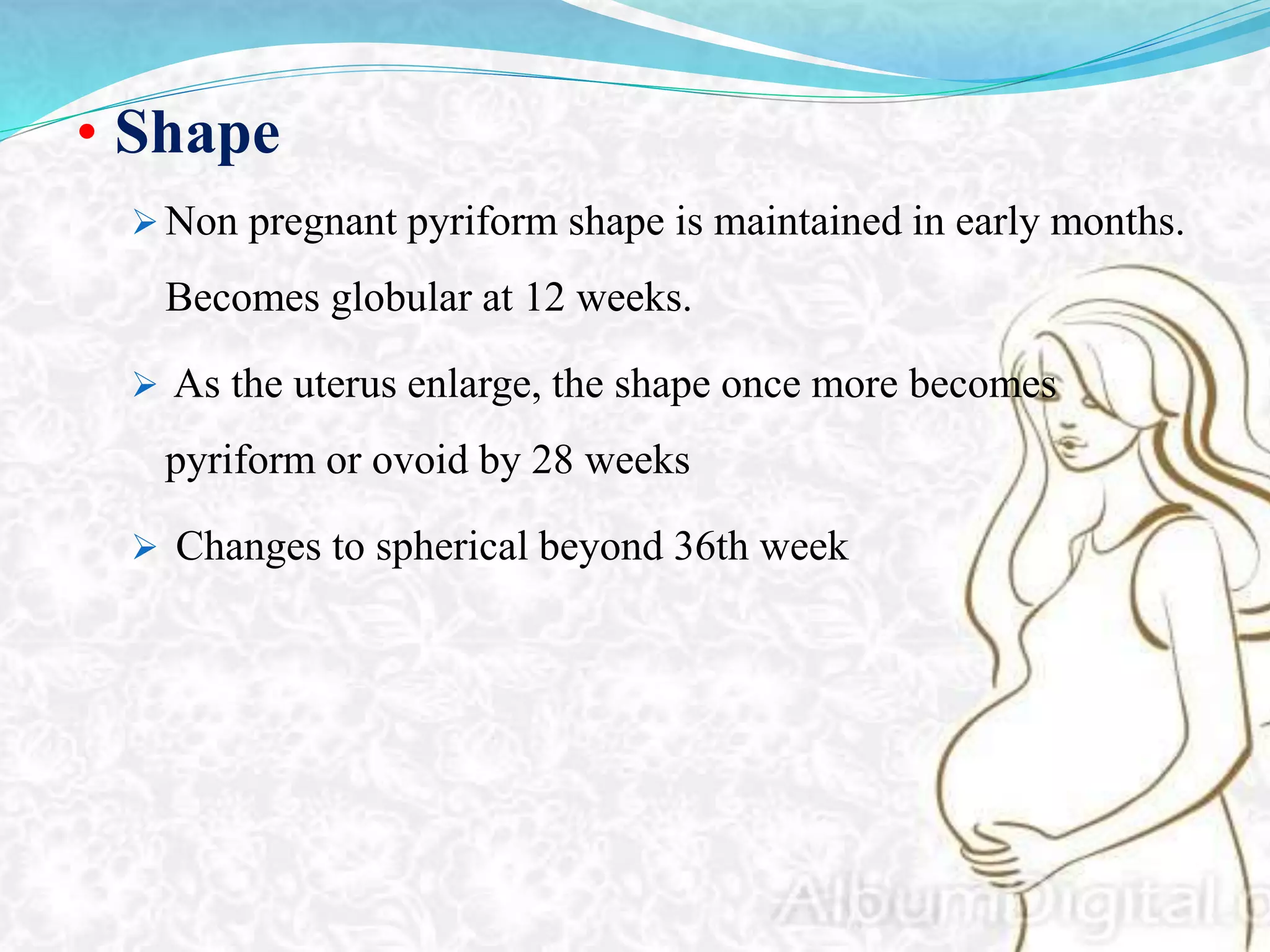 maternal adaptation during pregnancy | PPTX