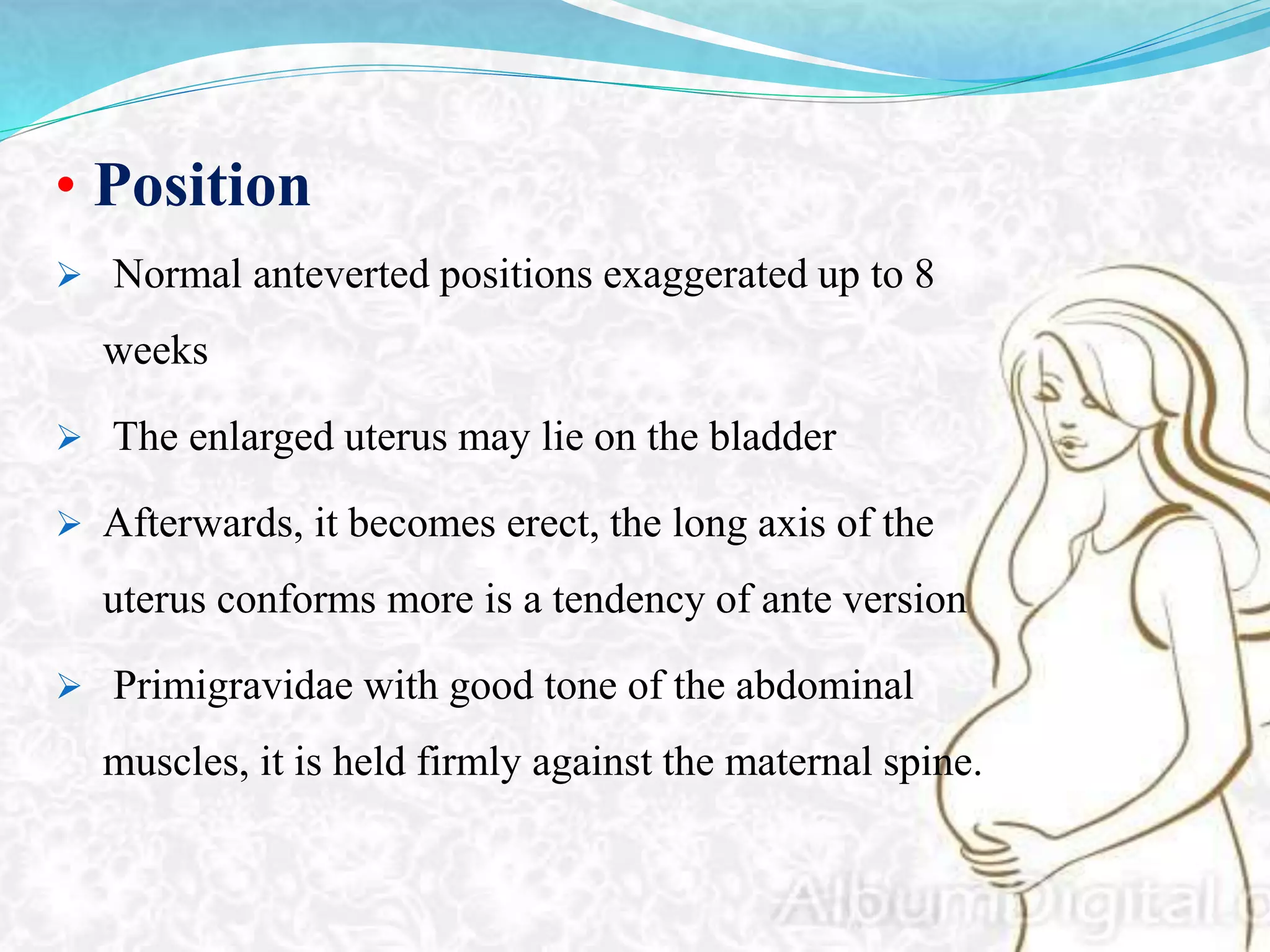 maternal adaptation during pregnancy | PPTX