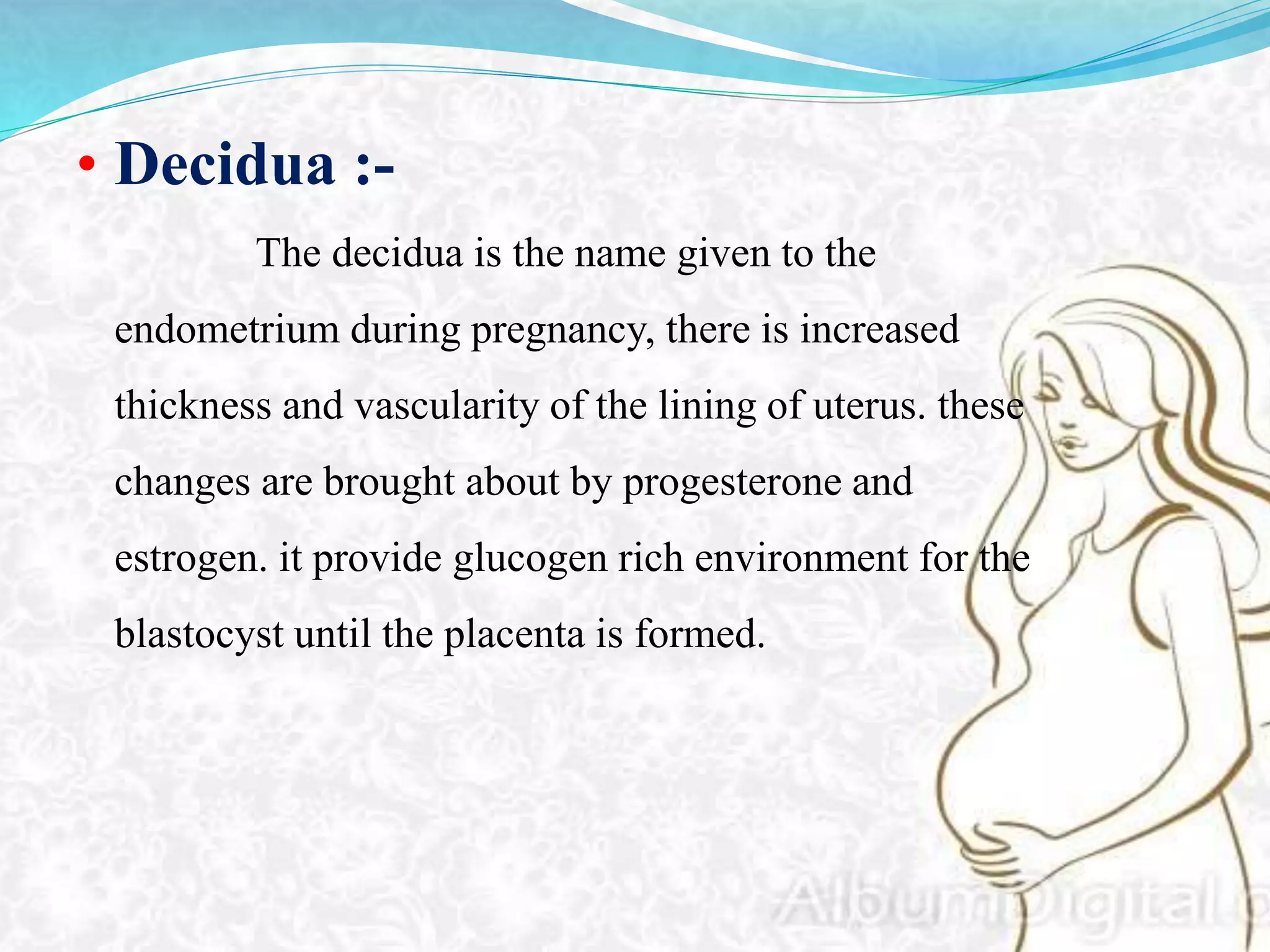 maternal adaptation during pregnancy | PPTX