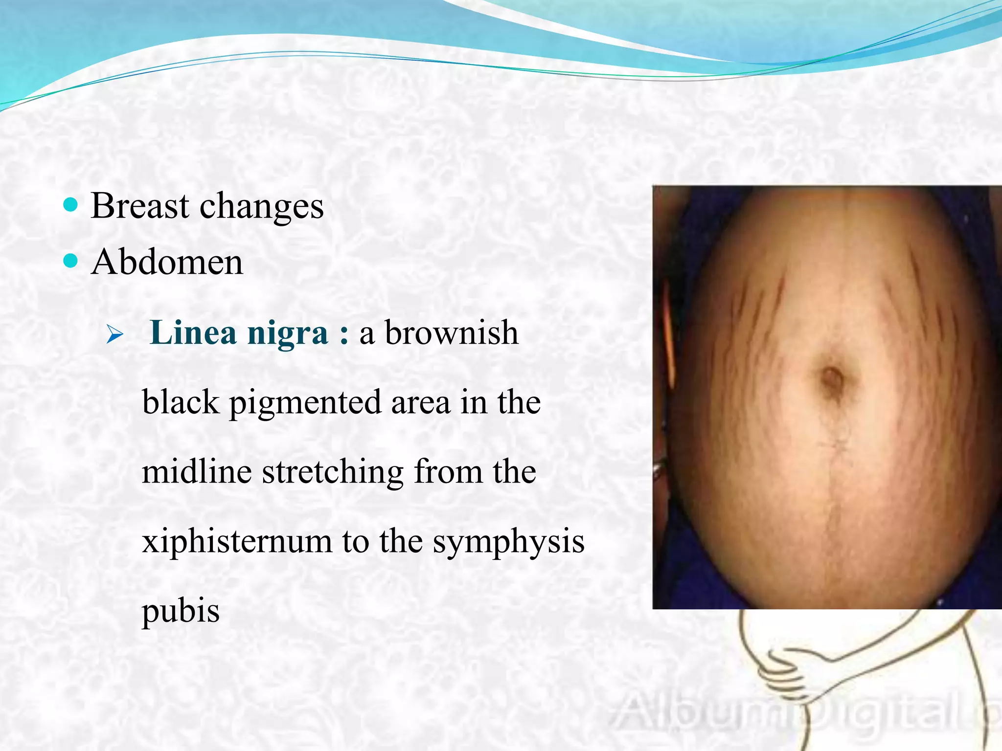 maternal adaptation during pregnancy | PPTX