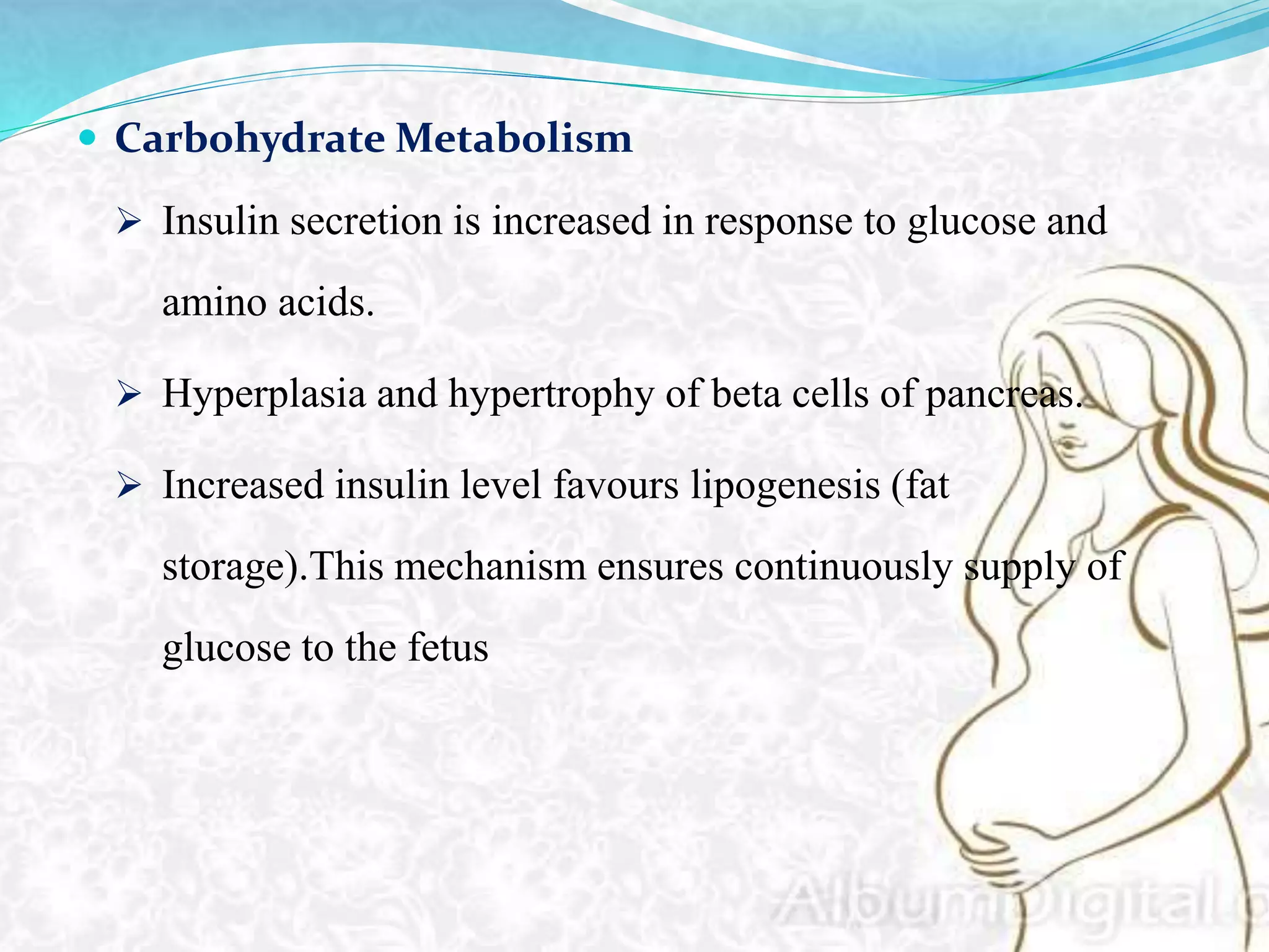 maternal adaptation during pregnancy | PPTX