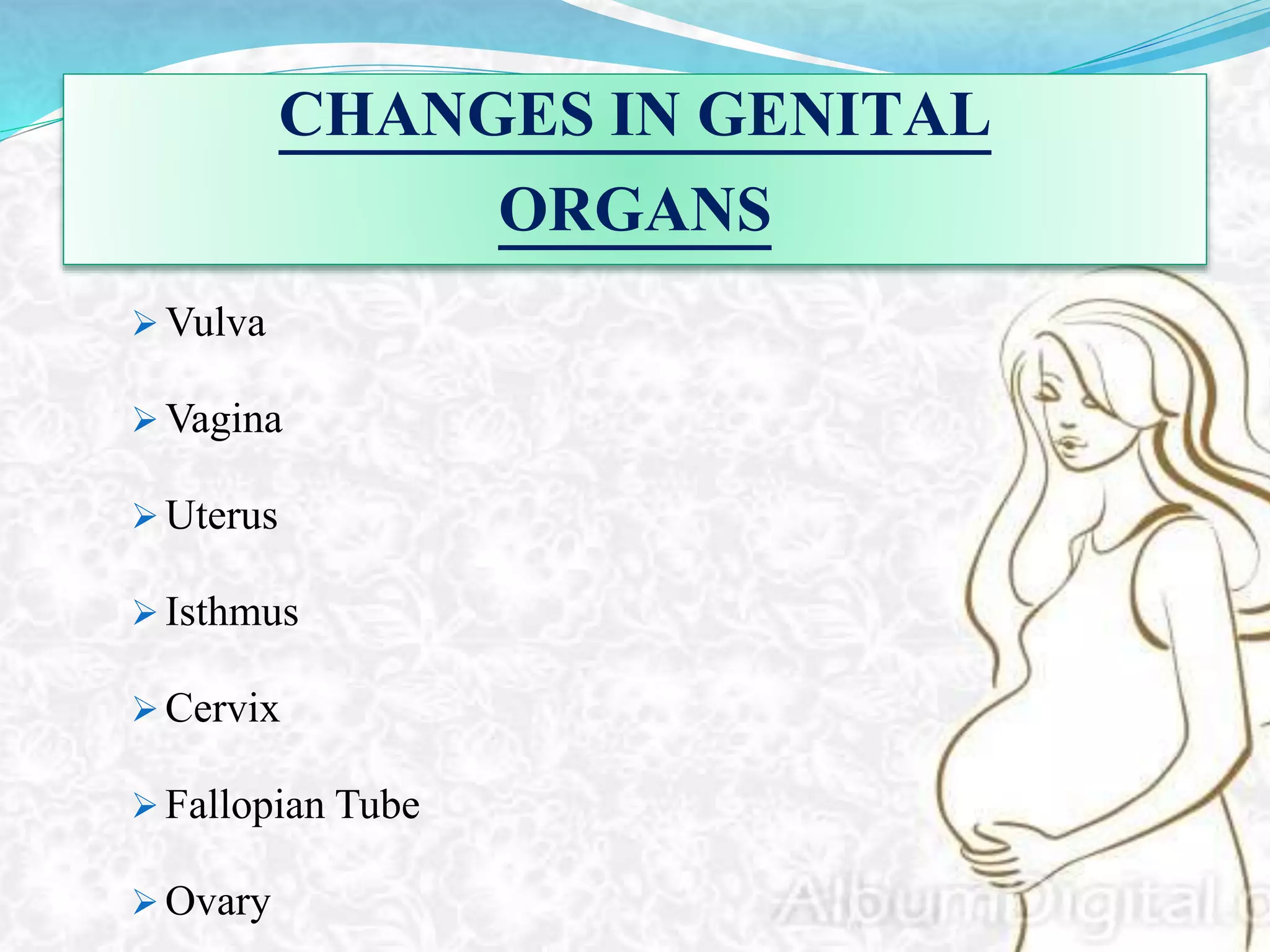 maternal adaptation during pregnancy | PPTX